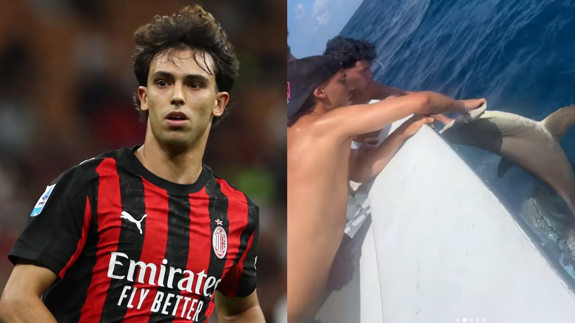 VIDEO: Joao Felix has close encounter with hammerhead SHARK as Chelsea flop enjoys downtime in ...